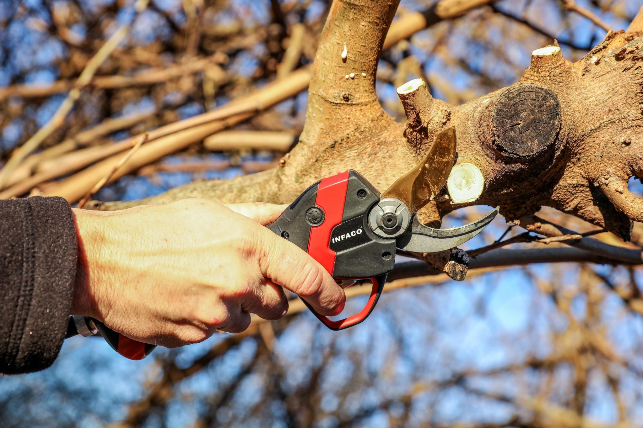 INFACO-F3020- – 和光商事株式会社